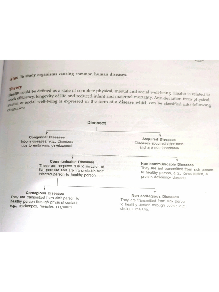 Common Disease | PDF