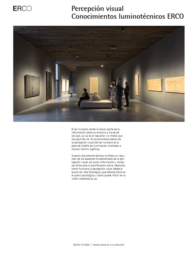 Erco Whitepaper Visual Perception 07 2022 Es | PDF | Percepción visual | Percepción