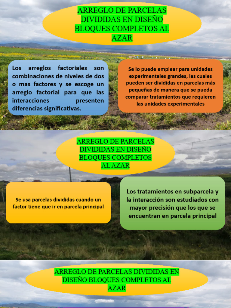 Diseño de Parcelas Divididas | PDF