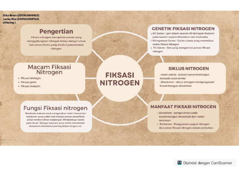 Dika Brian & Lucky Eka Mind Map Fiksasi Nitrogen | PDF