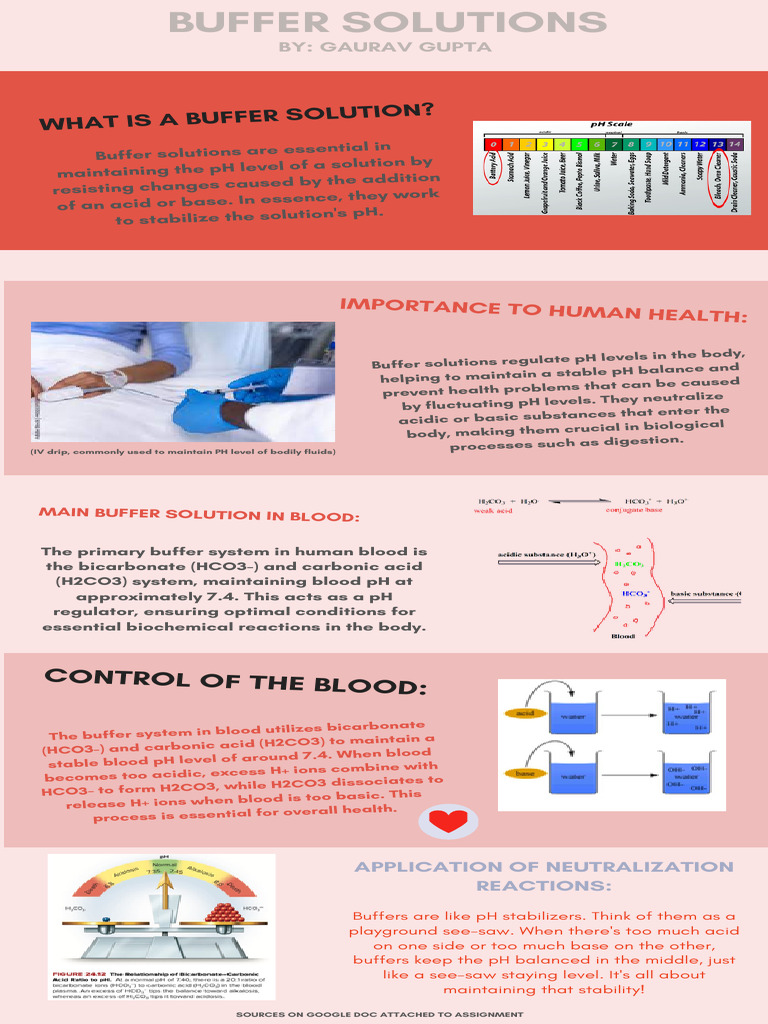 Buffer Solutions Assignment | PDF | Buffer Solution | Bicarbonate