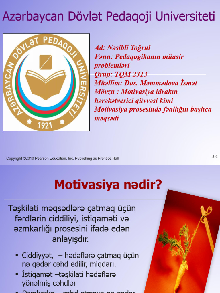 Təqdimat Motivasiya | PDF