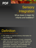 Our 8 Sensory Systems | PDF | Senses | Taste