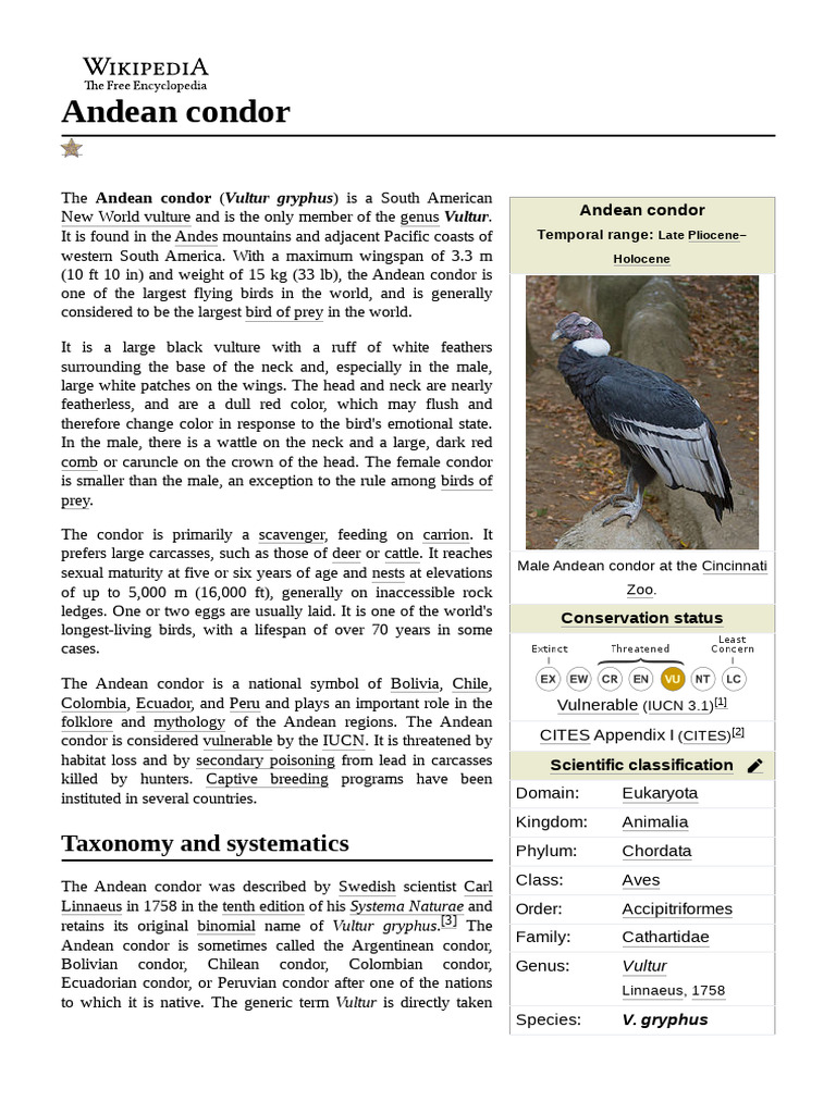 Andean Condor | PDF | Birds