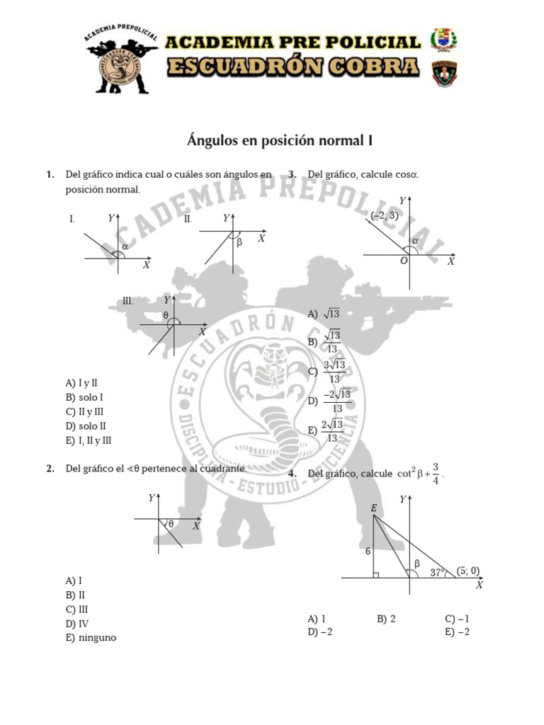 Ángulo en Posicion Normal I | PDF | Métodos y materiales de enseñanza
