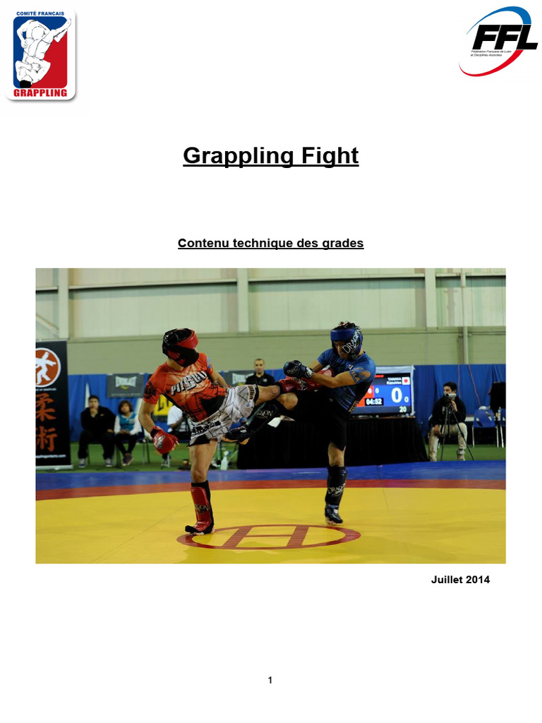Grappling Fight Techniques | PDF | Combat | Sports individuels