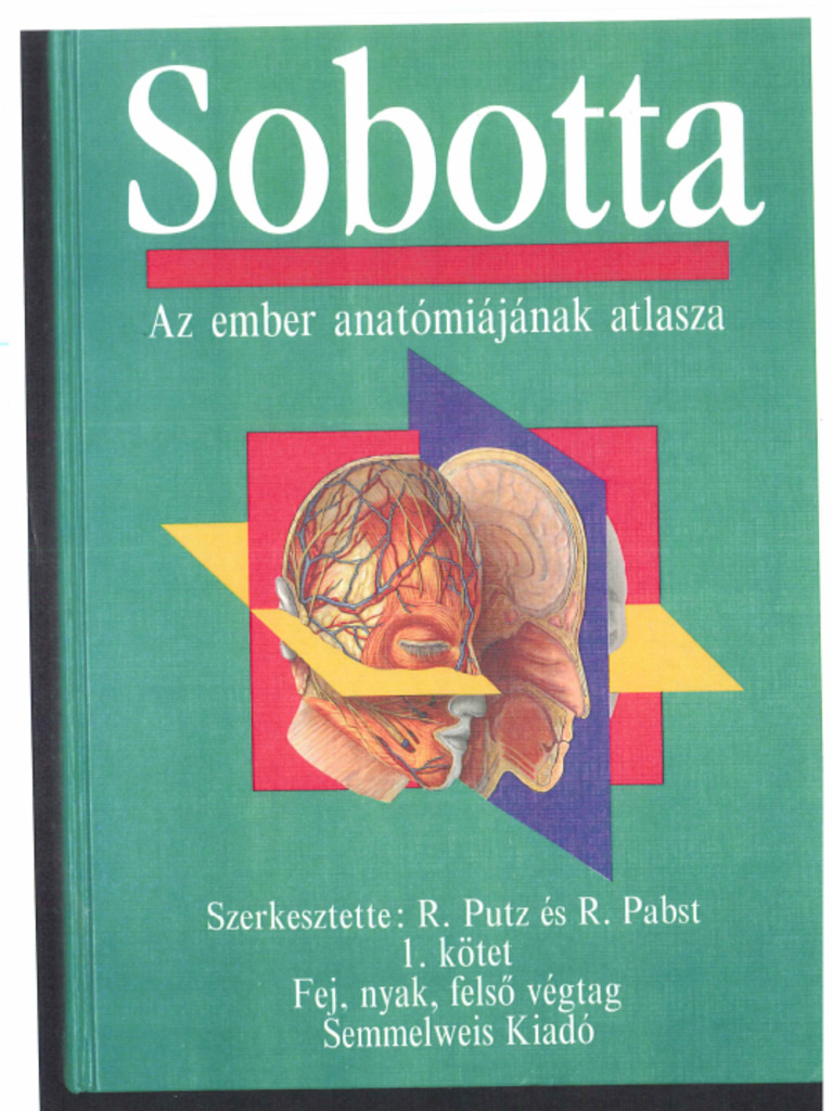 Sobotta Anatomia I.1-140 | PDF