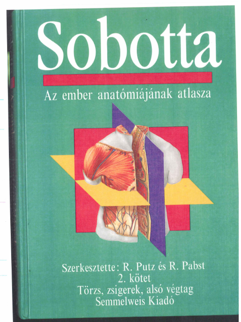 Sobotta Anatomia II.1-140 | PDF