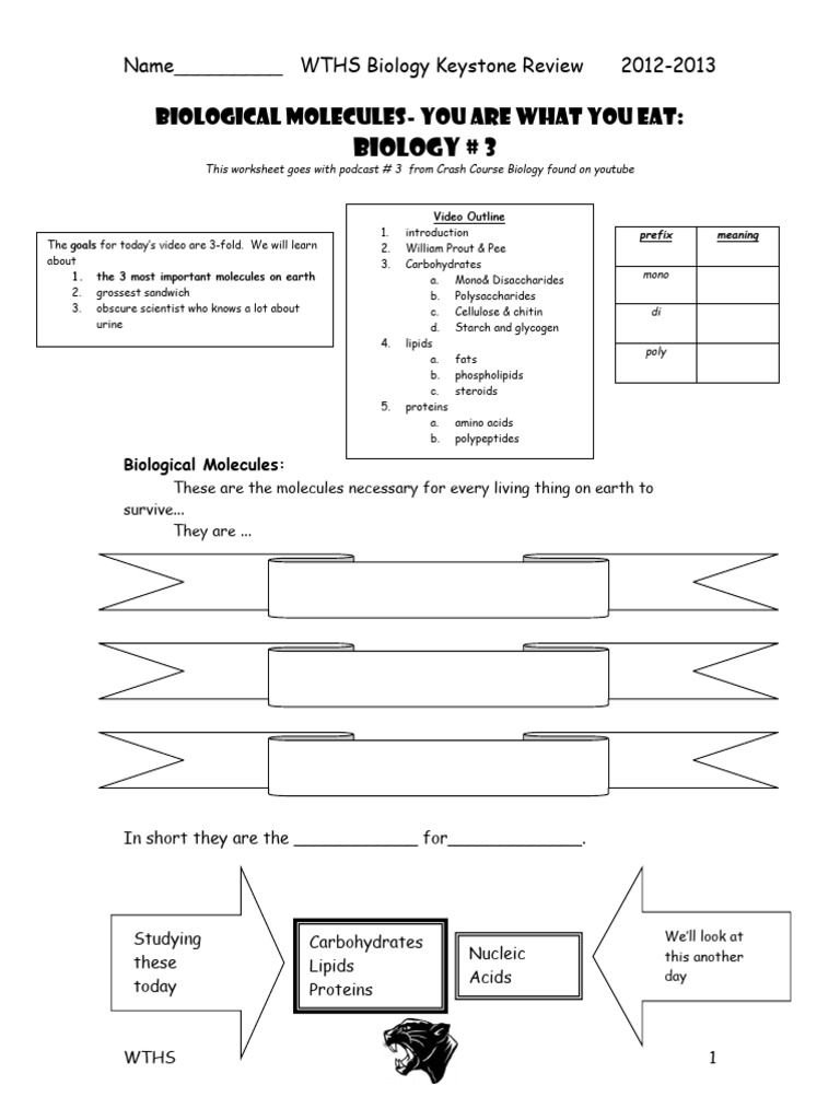 Biological Molecules-You Are What You Eat Crash Course | PDF ...