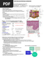 Guide Clinique de l'Intertrigo | PDF | Candida | Dermatite
