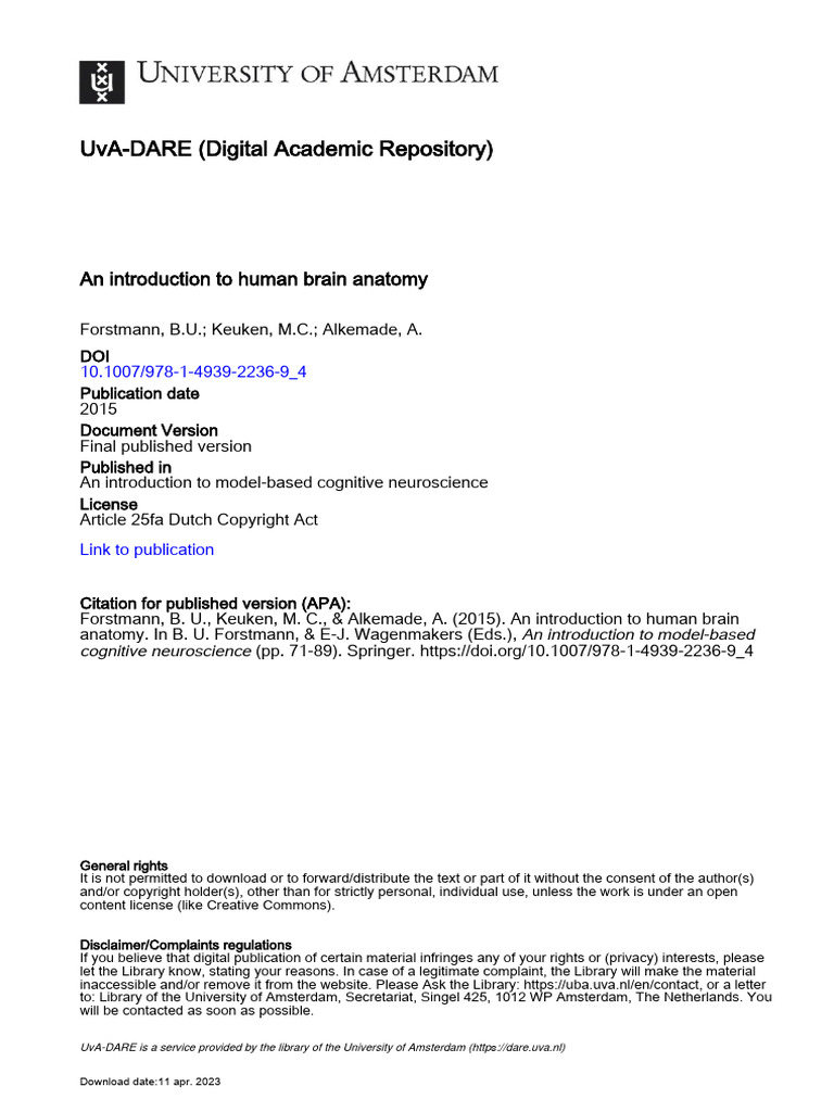 Introduction To Human Brain Anatomy | PDF | Cerebral Cortex | Basal Ganglia