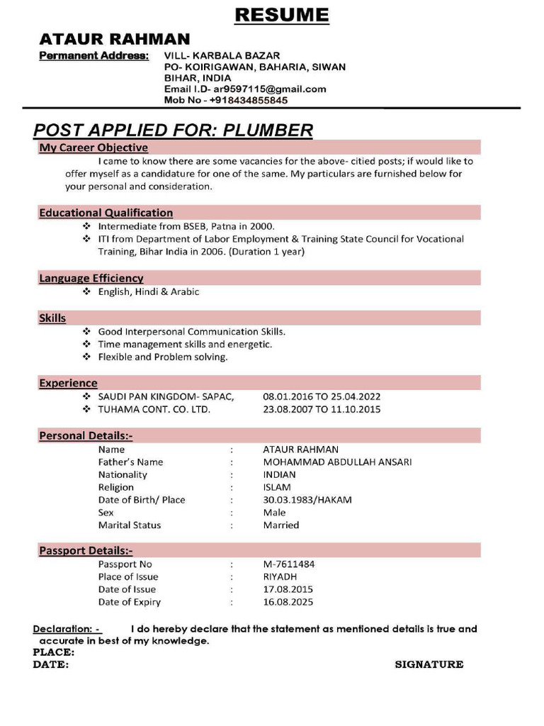 CV AR Ansari | PDF