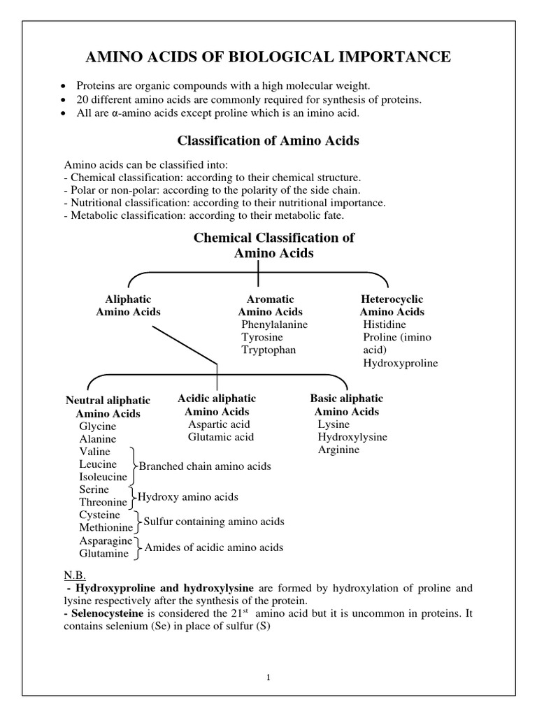 Amino Acid & Protein Chemistry NUB Handout | Download Free PDF | Amino Acid | Proteins