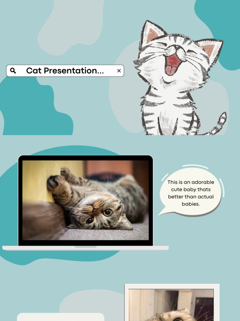 Cat Presentation... | PDF