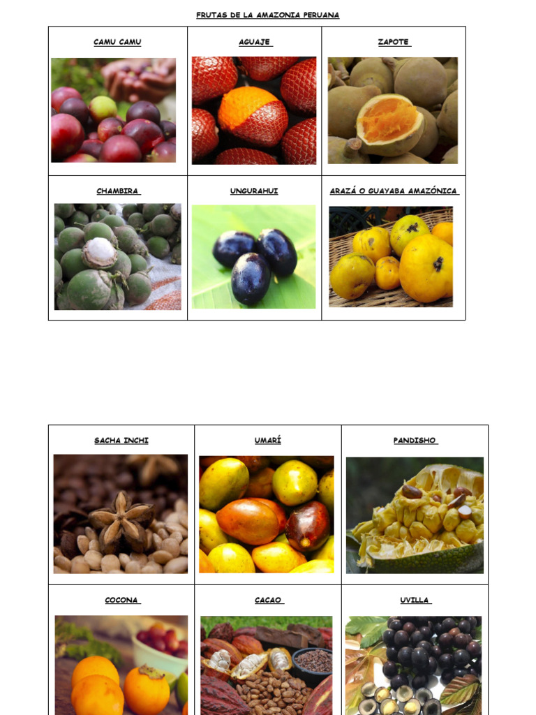 Frutas de La Amazonia Peruana | PDF