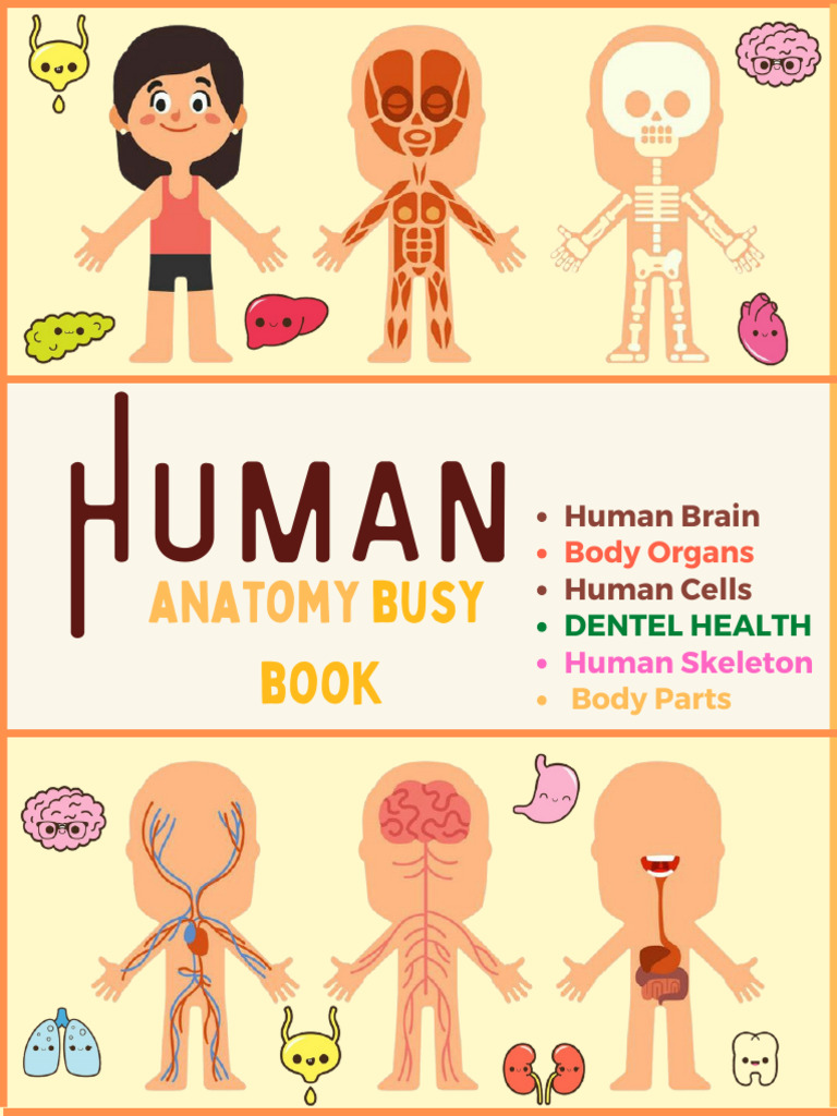 Human Anatomy | PDF | Cell (Biology) | Mitochondrion