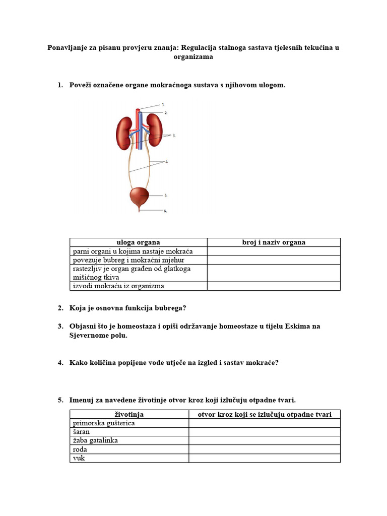 Ponavljanje_Regulacija Stalnoga Sastava Tjelesnih Tekućina u Organizama ...