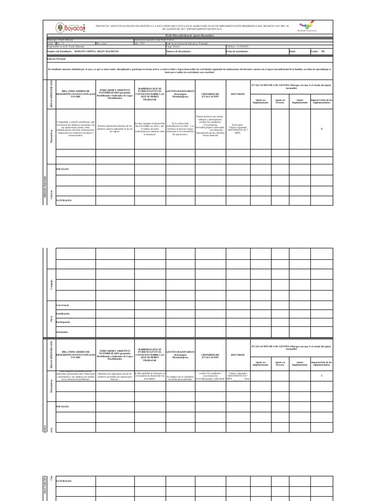 Piar - Plan - Individual - de - Ajustes - Razonables 704 | PDF ...