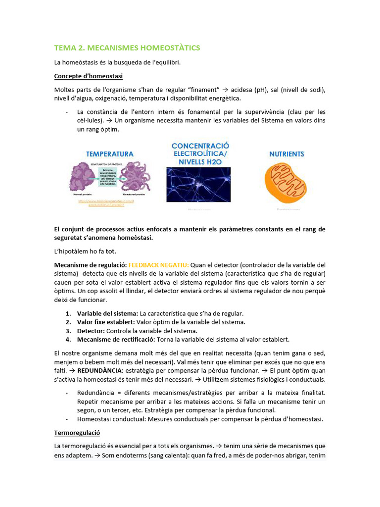 Tema 2 | PDF