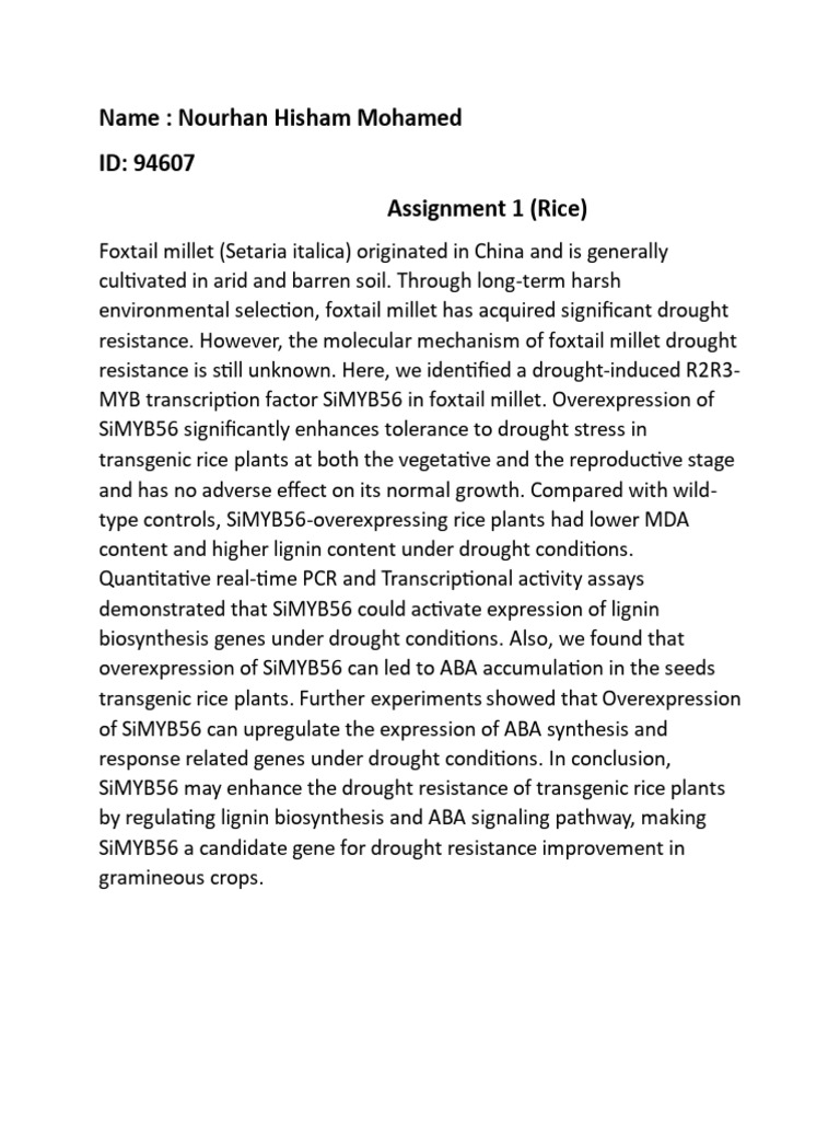 Assignment 1 MLBS | PDF | Rice | Transgene