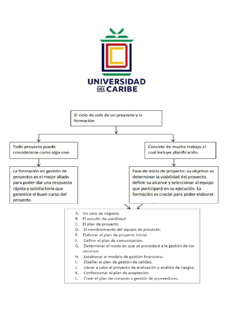 Unidad 1. Actividad 3. Mapa Conceptual Sobre El Ciclo de Vida de Los Proyectos | PDF