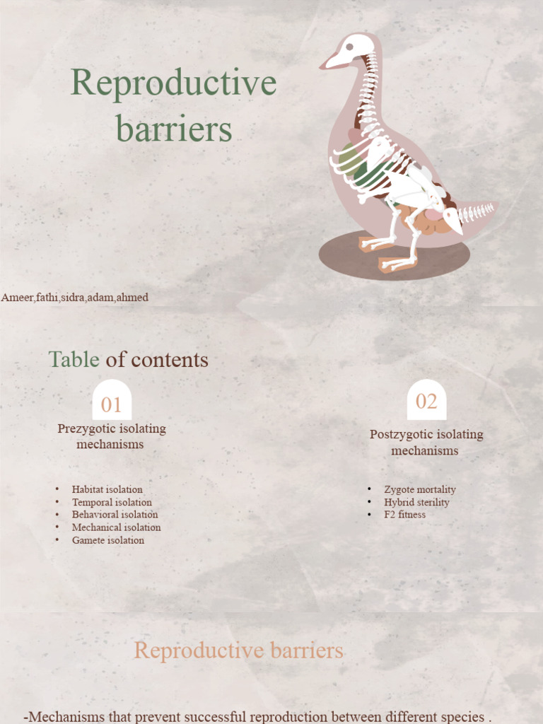 Animal Anatomy and Physiology Class by Slidesgo | PDF | Science ...