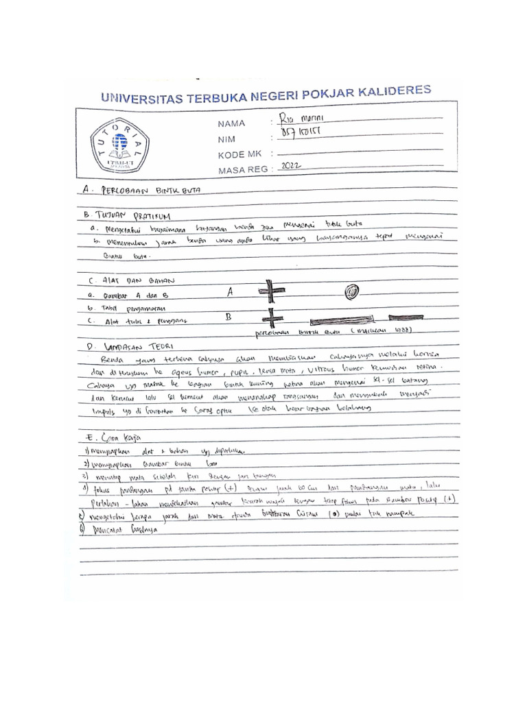 Ipa TM Titik Buta | PDF