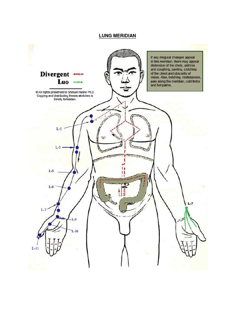 All TCM Meridians | PDF