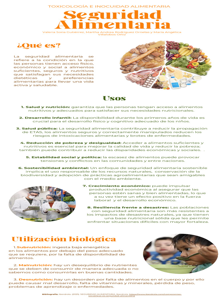 Seguridad Alimentaria | PDF | Alimentos | Seguridad alimentaria