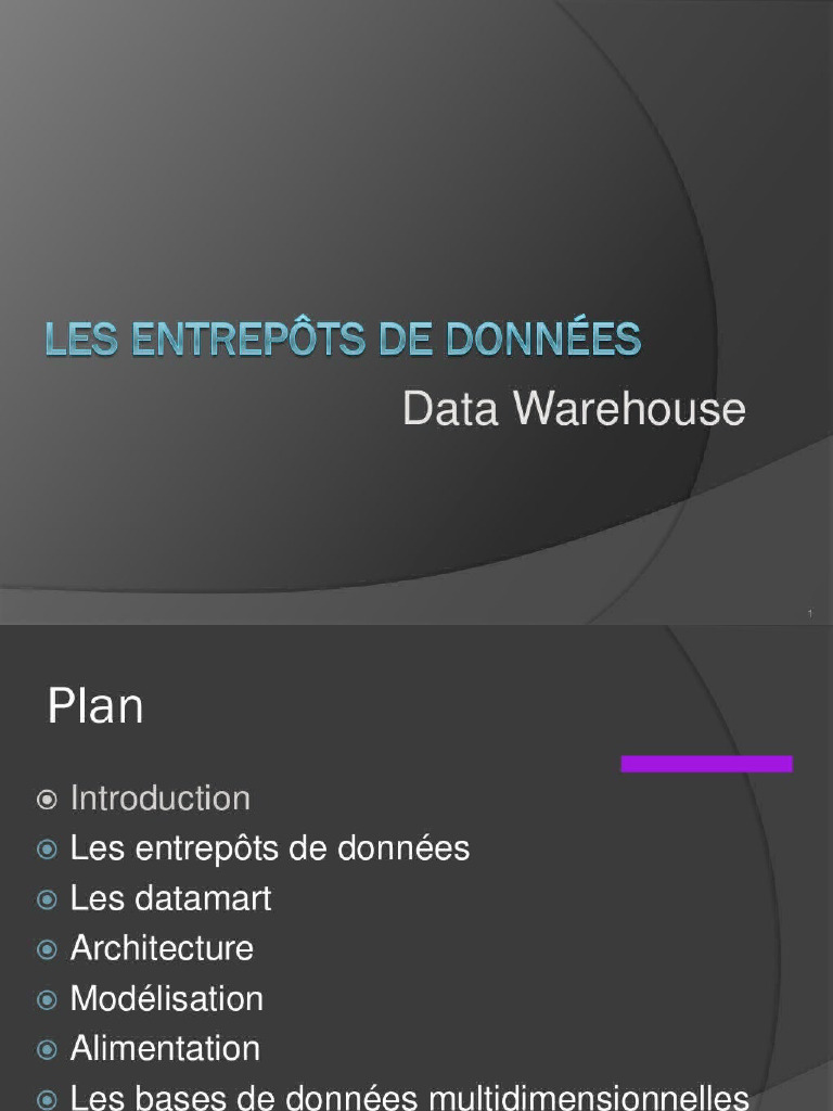 Chapitre 2 DWH (Entrepot de Données) | PDF