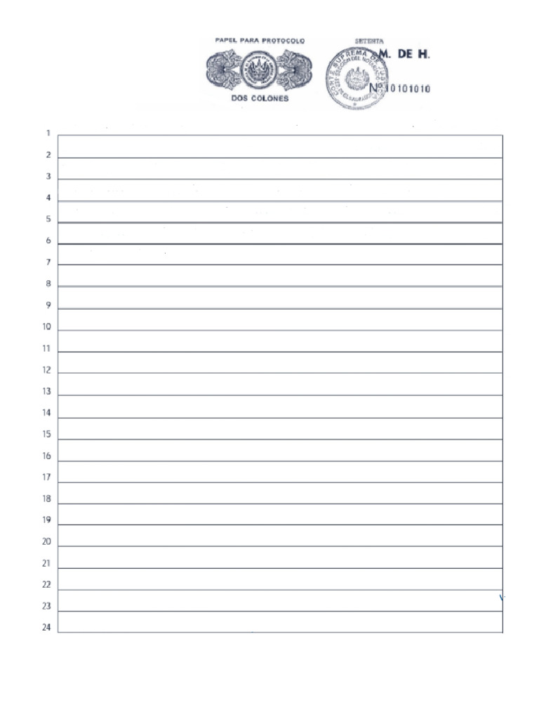 Formato Hoja de Protocolo | PDF