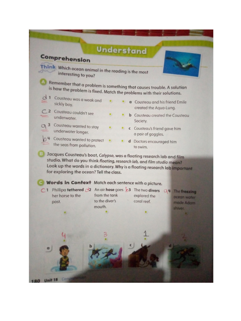 SB and WB Exercises-2 | PDF