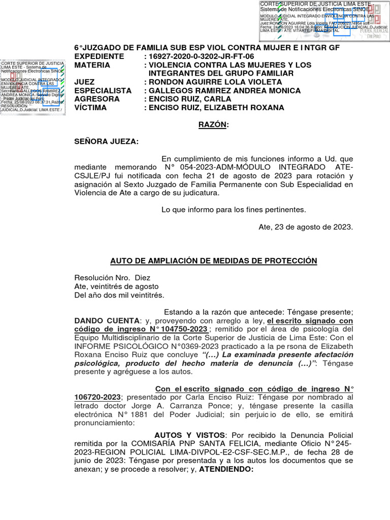 Res 2020169270081623000940598 | PDF | La violencia contra las mujeres ...