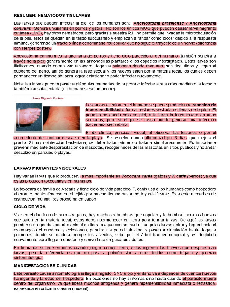 Resumen de Nematodos Tisulares | Descargar gratis PDF | Especialidades ...