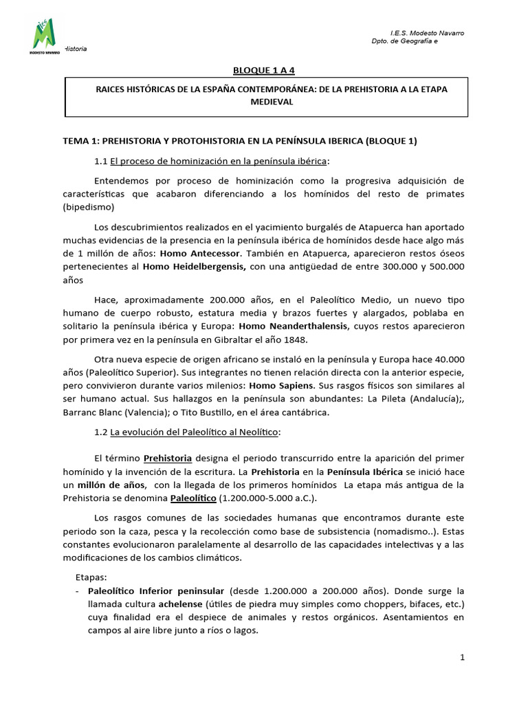 TEMA - 1 - Prehistoria y Protohistoria de La Península Ibérica | PDF ...