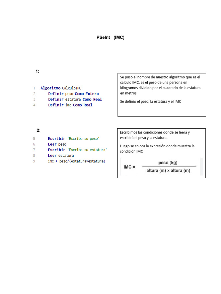 PSEINT | PDF
