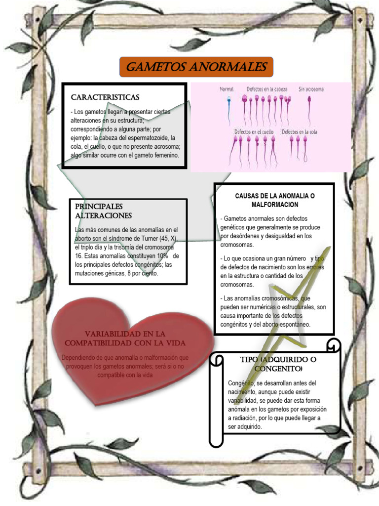 Gametos Anormales y Compatibilidad Vital | PDF