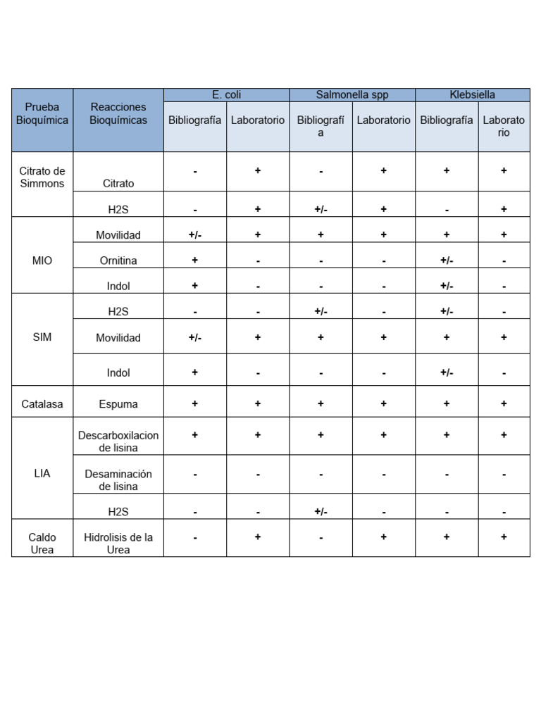 Interpretacion de Las Pruebas Bioquimicas | PDF