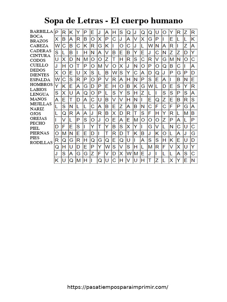 Sopa de Letras para Imprimir - El Cuerpo Humano | PDF
