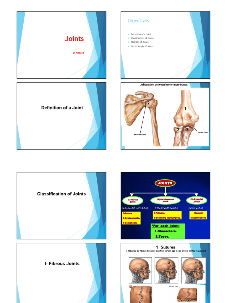 Joint | PDF | Joint | Knee