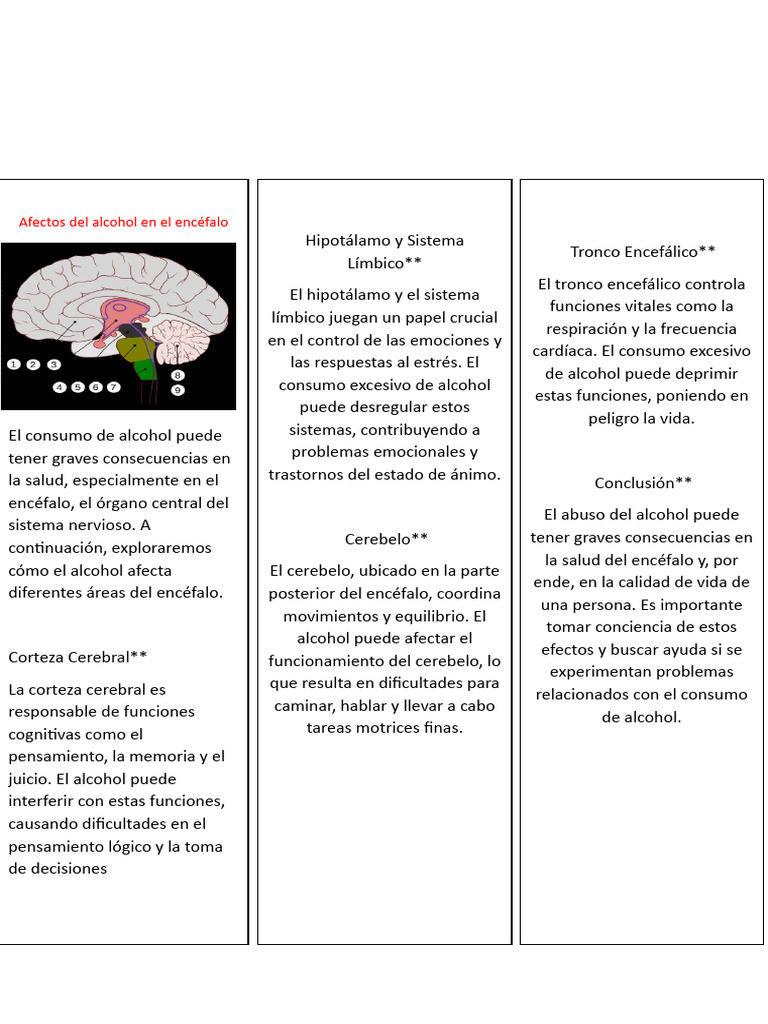 En Cefalo | PDF | Cerebro | Las emociones