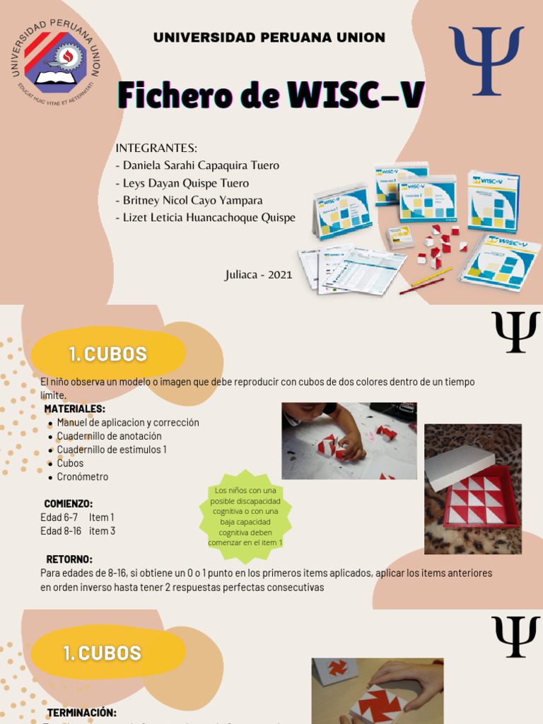 Fichero Wisc V | PDF | Discapacidad intelectual | Guitarras