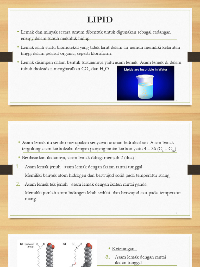 Materi Lipid PDF | PDF