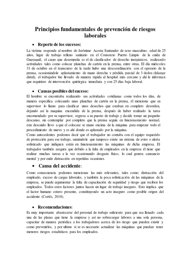 Principios Fundamentales de Prevención de Riesgos Laborales | PDF