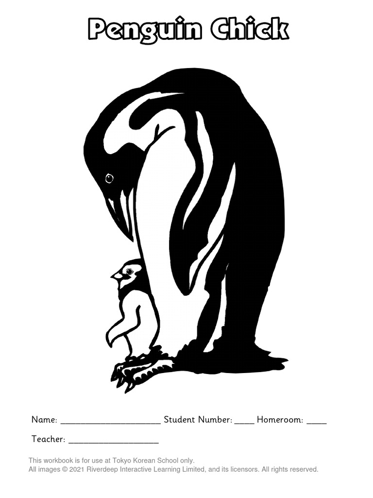 00 Penguin Chick Workbook | PDF | Penguin | Vocabulary