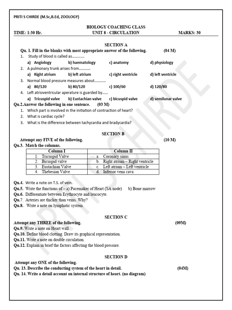 Test On Circulation | PDF | Heart Valve | Heart