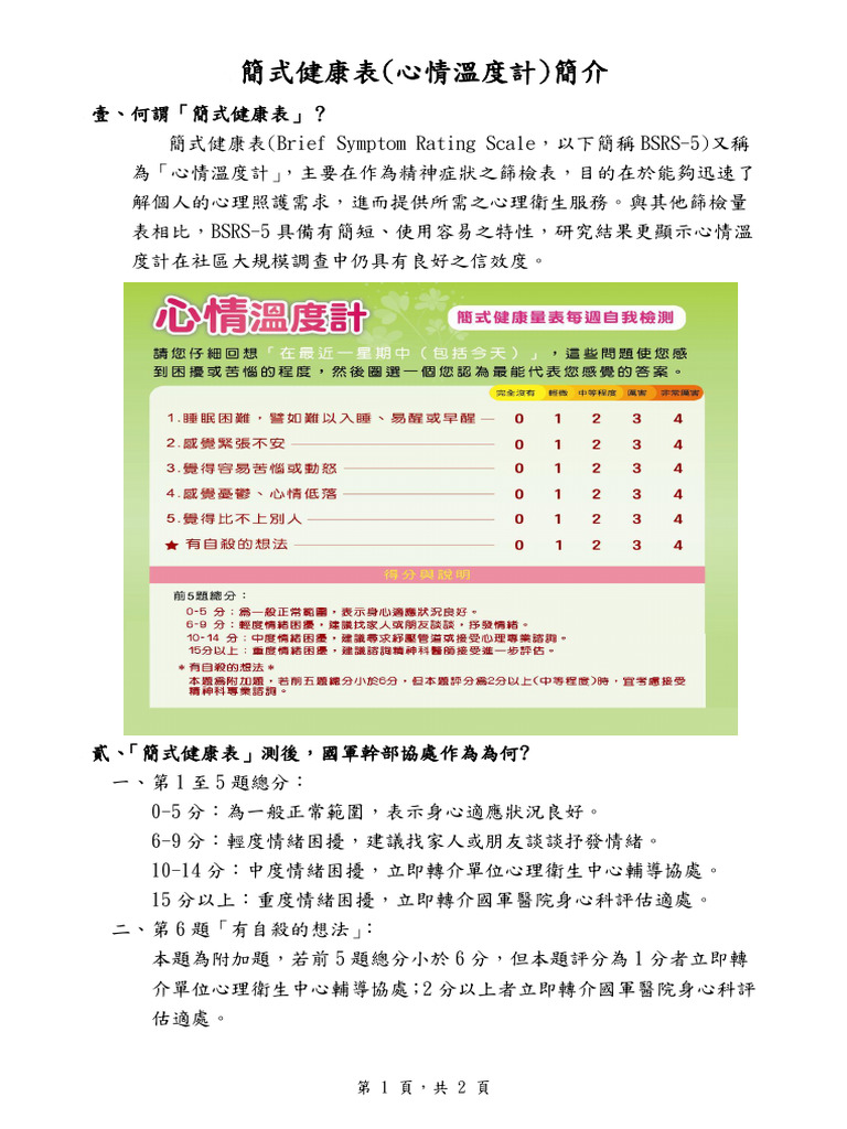 什麼是BSRS 5 | PDF