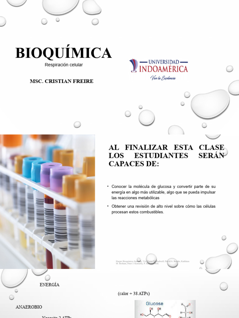 Respiración celular | PDF | Respiración celular | Trifosfato de adenosina