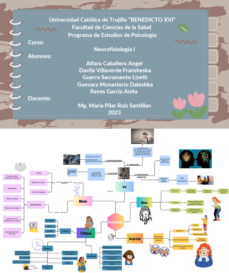 Organizador Emociones | PDF | Las emociones | Sicología