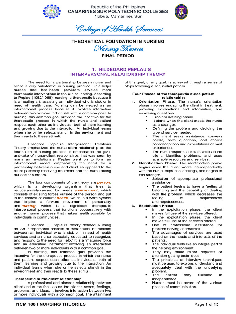 Theoretical Foundation In Nursing Pdf Nursing Behavior
